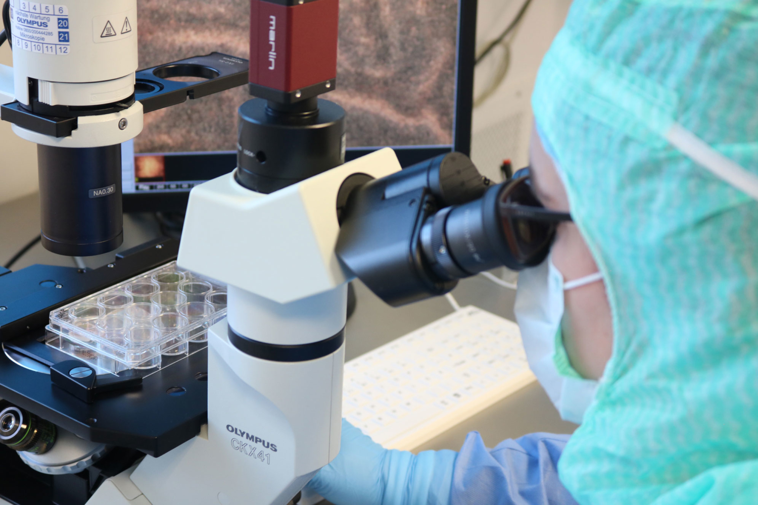 DGFG - Deutsche Gesellschaft für Gewebetransplantation