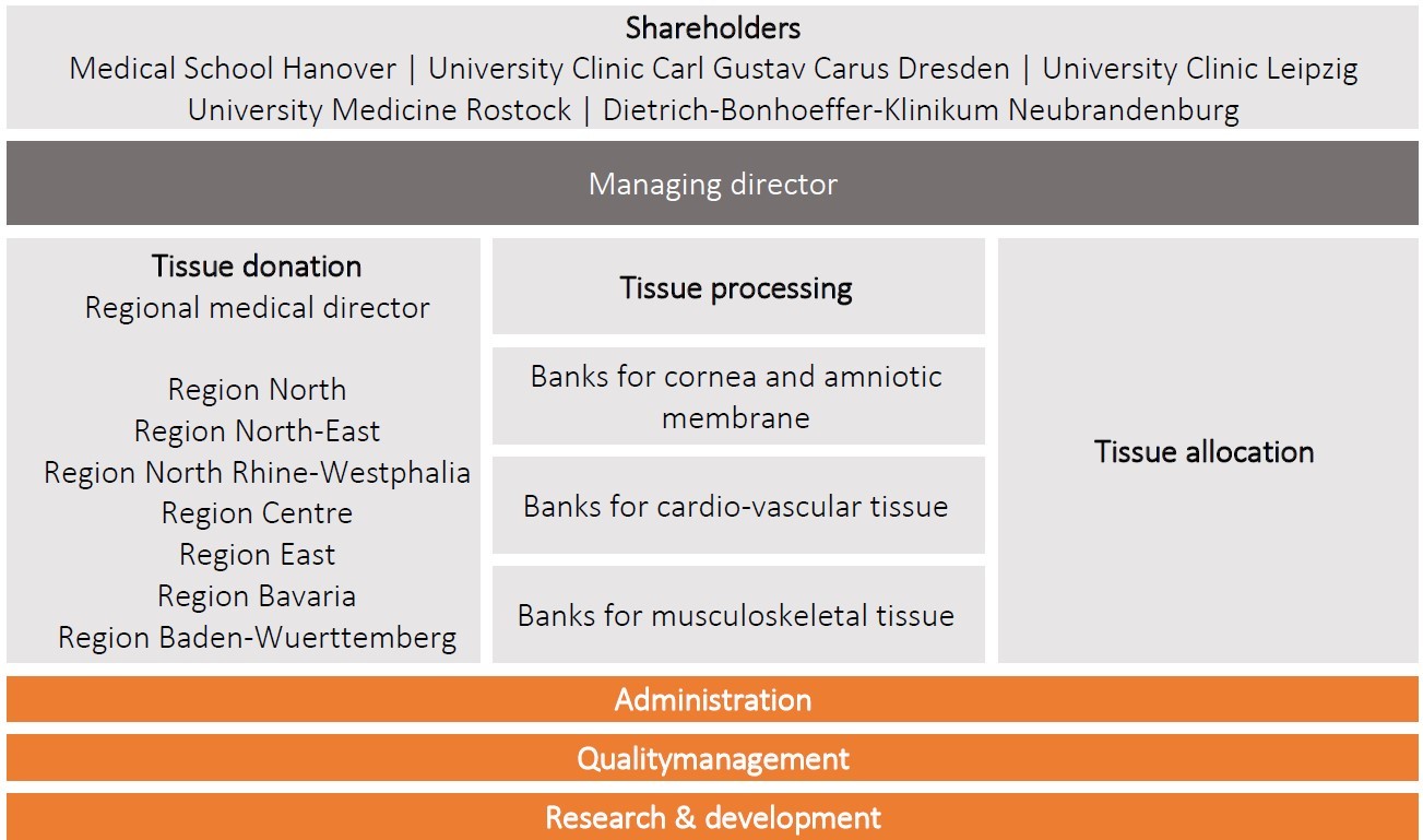 DGFG_eng | Deutsche Gesellschaft für Gewebetransplantation