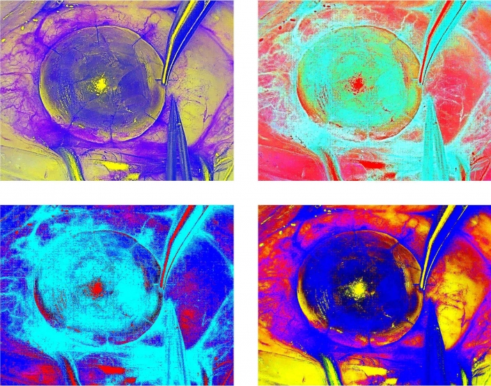 Hanna Faber – Craftsmanship - Deutsche Gesellschaft für ...