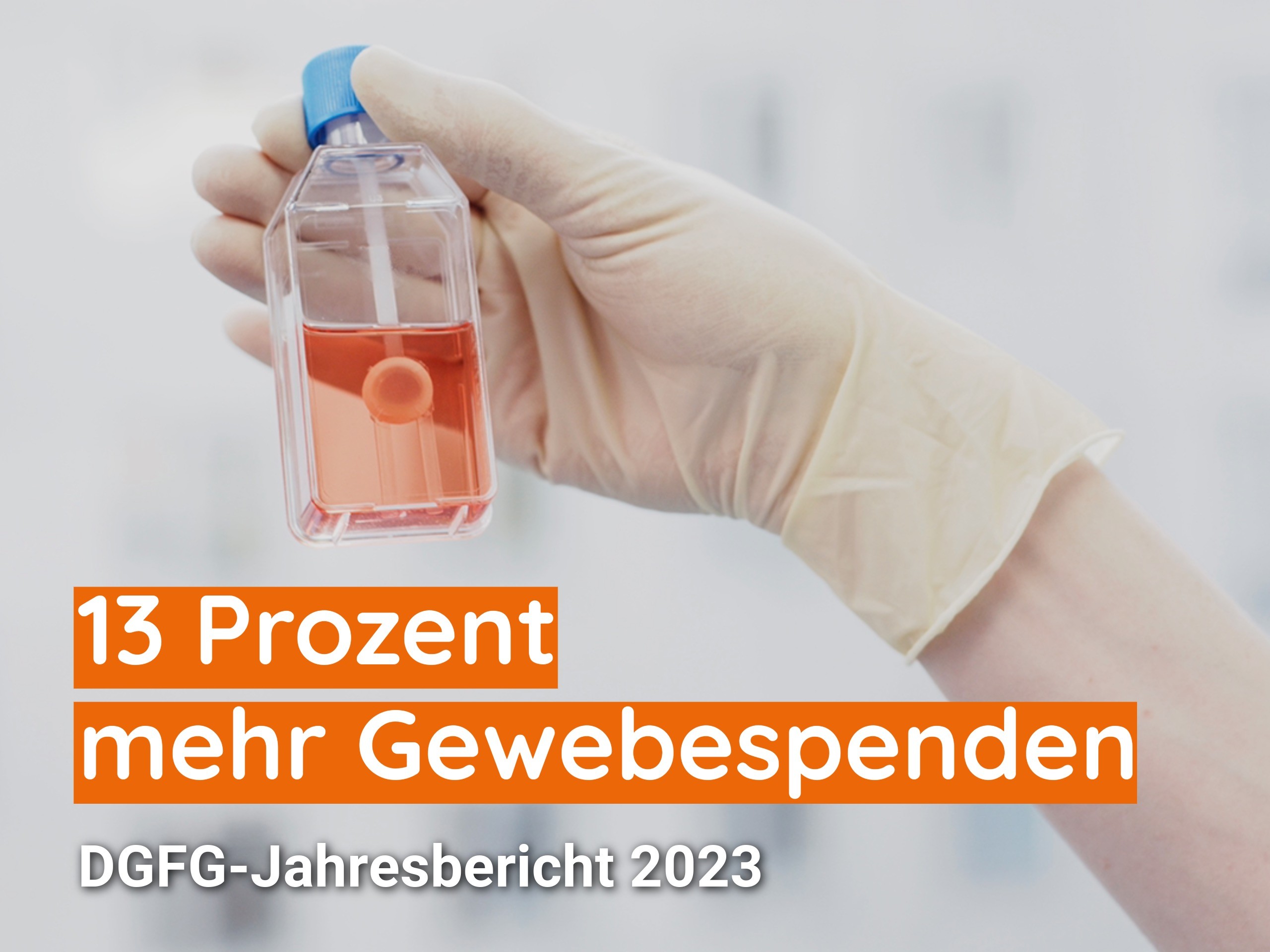 DGFG veröffentlicht Jahresbericht 2023